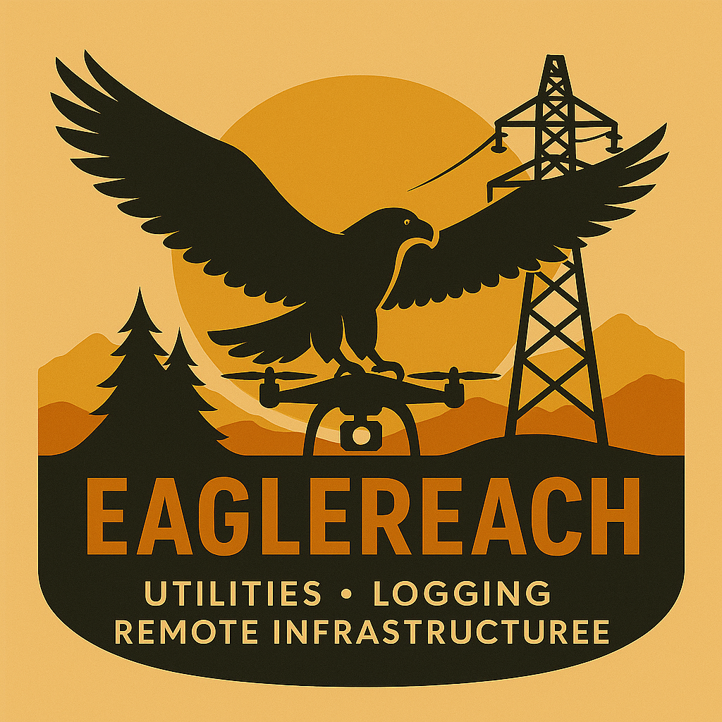 Utilities, Logging & Remote Infrastructure – EagleReach Drones